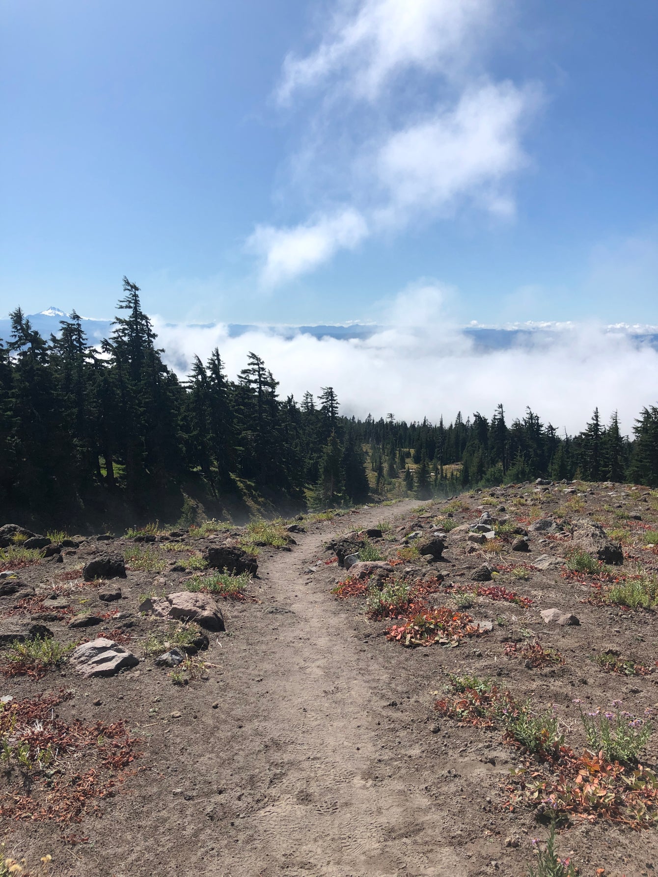 CRISP AIR AND CLEAN BLUE SKY – TIMBERLINE TRAIL FIELD LAB 2019 ...
