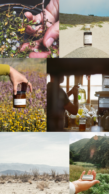 Field Lab Trail Scout List – Juniper Ridge