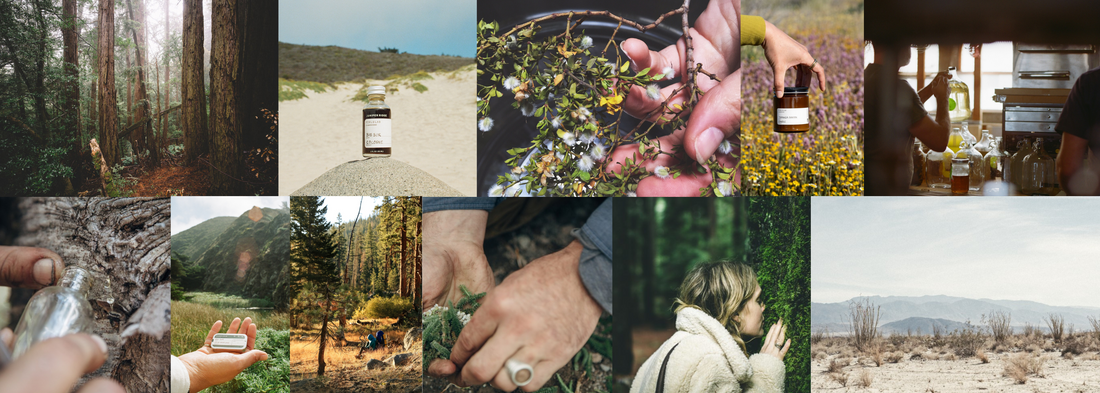 Field Lab Trail Scout List – Juniper Ridge