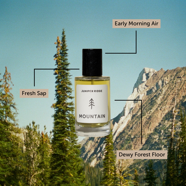 Crafting Natural Fragrance For Over 20 Years - Juniper Ridge – Juniper ...